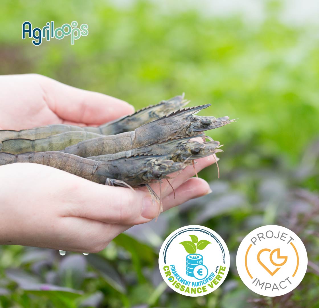 Sowefund - Investir dans l'innovation, défiscaliser utile